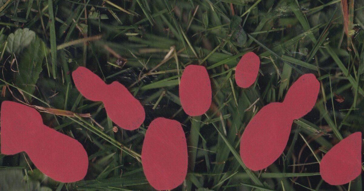 London Short Film Festival